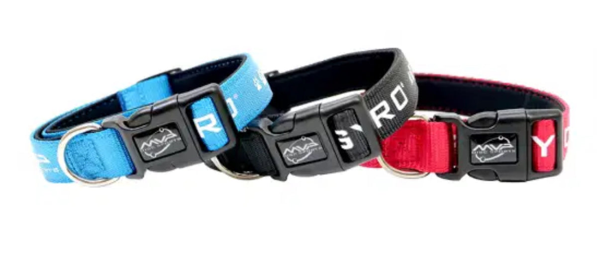 MVP Dog Collar – Second Flight Disc Golf